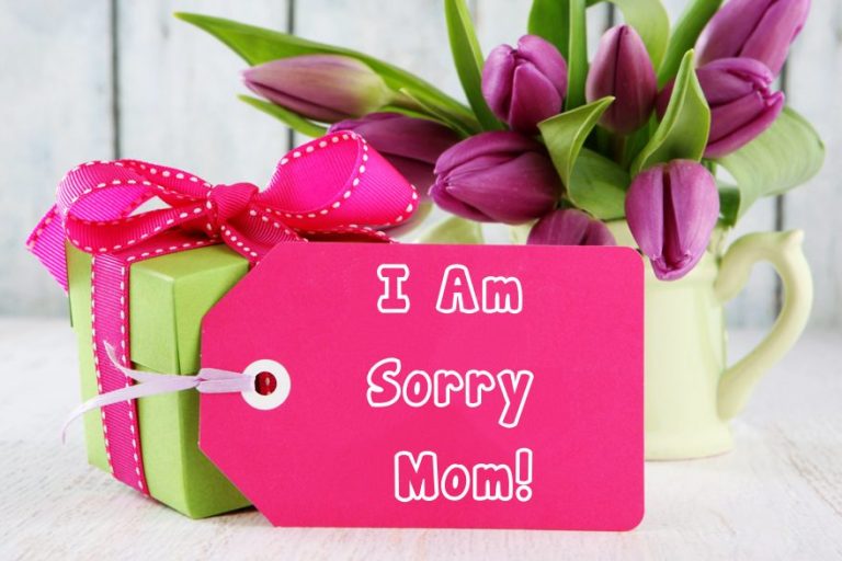 100 Apology Texts For Sorry Mom - Sorry Messages For Mother – FunZumo