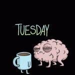 100 Hilarious Happy Funny Tuesday GIFs of the Week – FunZumo