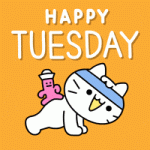 100 Hilarious Happy Funny Tuesday GIFs of the Week – FunZumo