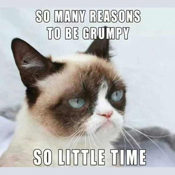 45 Grumpy Cat Memes That Broke the Internet: Viral Humor & Cultural ...