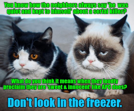45 Grumpy Cat Memes That Broke the Internet: Viral Humor & Cultural Impact – FunZumo