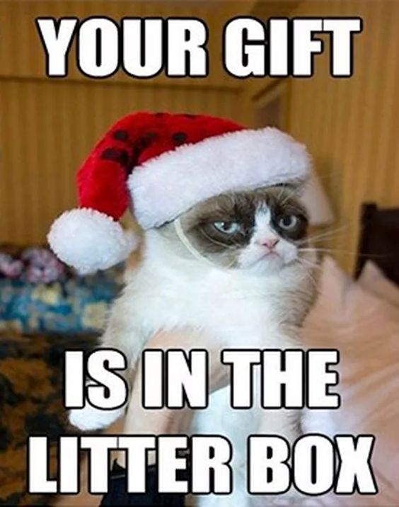 45 Grumpy Cat Memes That Broke the Internet: Viral Humor & Cultural Impact – FunZumo