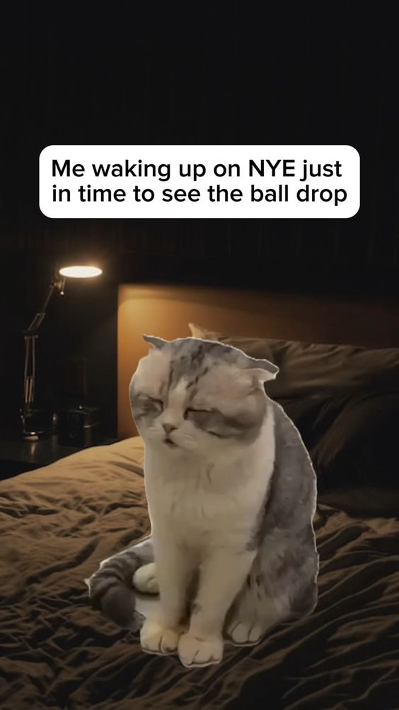 28 Hilarious Sleeping Cat Memes Go Viral Weekend – FunZumo